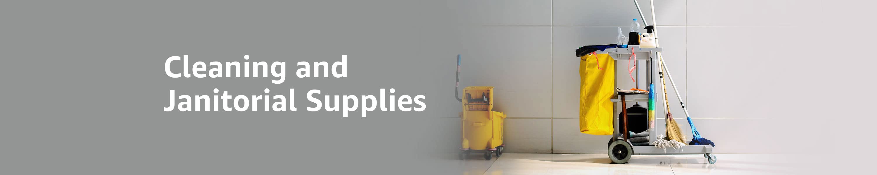 Janitorial Supplies For Bulk Prices - Wholesale Sanitation Products