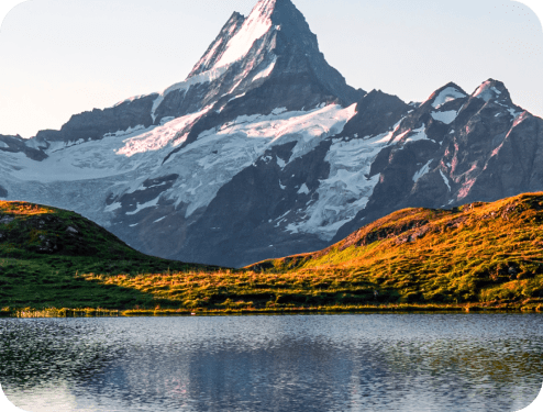 Amazon.com: : All Departments