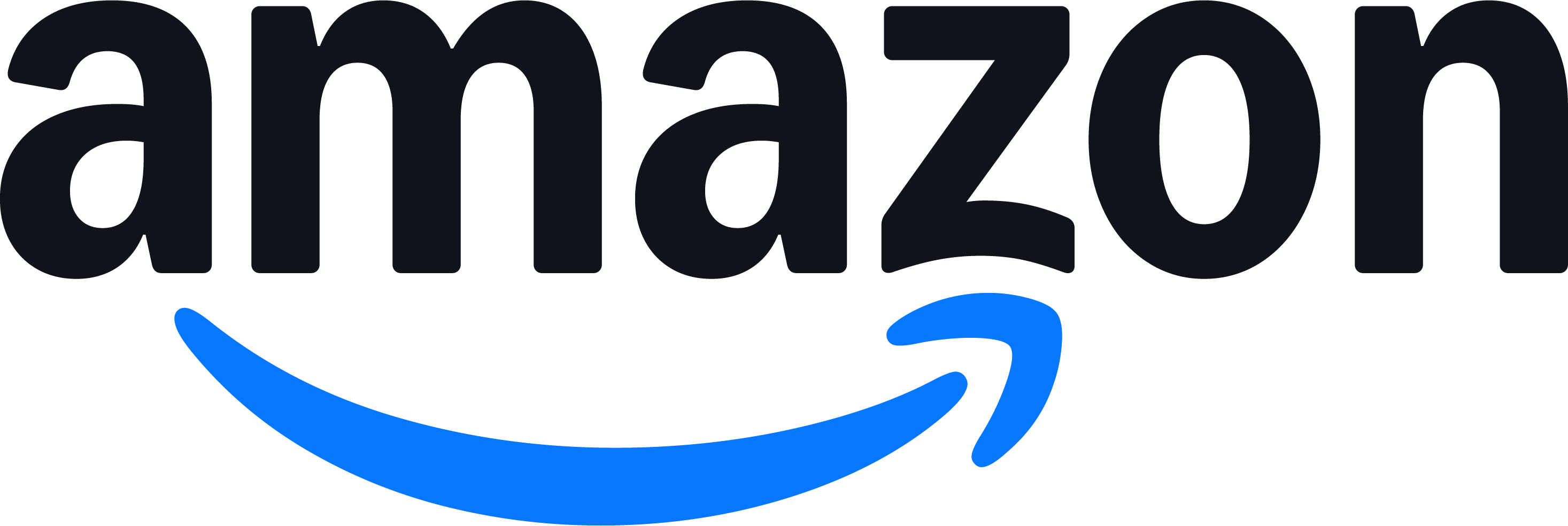 Amazon Delivery Service Partner Program - DSP