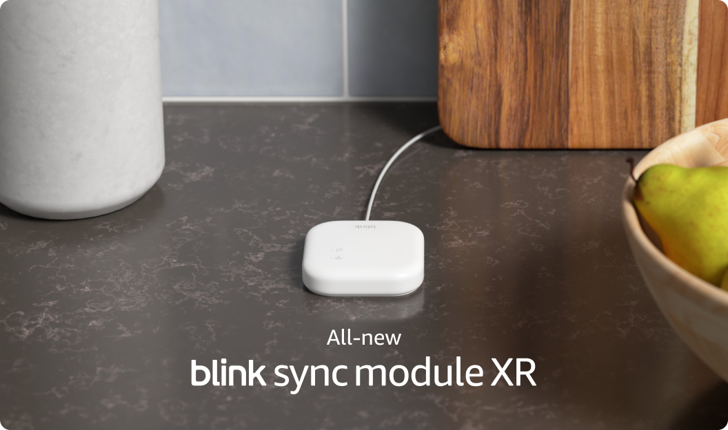 Blink Sync Module XR