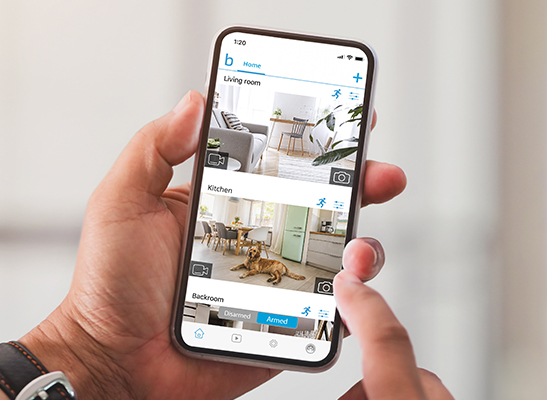 Blink Add-On Sync Module 2 : Amazon.ca: Electronics