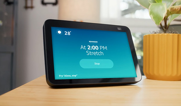 Alexa Productivity and Organization Features | Amazon.in | Alexa India
