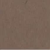 Amazon.com: Matsumoto 洋紙 Shop OK The Kaiser G/Square Meter (0.14 mm) A4 ...