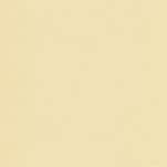 Amazon.com : Exact Multipurpose Ivory 8-1/2x14 20lb 500/pkg : Printing ...