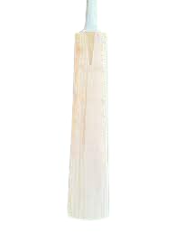 Maxxic Sports Enhance Your Game with Maxxic Sports English Willow ...