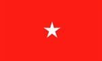 Amazon.com : Army Officer Flag, Brigadier General, 1 Star, Endura-Gloss ...