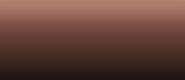 LifeColor Liquid Pigments LPW06 Deep Rust - Amazon.com