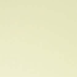 Amazon.com : Plike Text Ivory 8-1/2x14 95lb/140g 100/pkg : Printer And ...