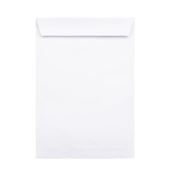White Plain Studio Passport Photo Envelope/Folder ( 4 x3 Inches ) 400 ...