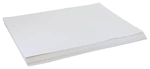 CUBIC White Chart Paper – 22 x 28 Inches | Pack of 10 | Thick & Smooth ...