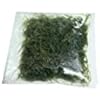 Amazon.com: Marcus Fish Tanks - 3X Java Moss Taxiphyllum Barbieri ...