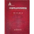 Amazon.com: Chinese jujube germplasm illustrations: 9787109147522: BEN ...