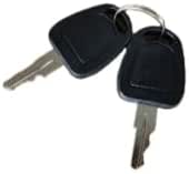GolfCartKeys.com EZGO RXV Replacement Golf Cart Key (2) : Buy Online at ...