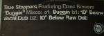 Amazon.com: True Steppers & Dane Bowers - Buggin - NuLife Recordings ...