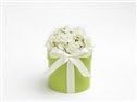 Amazon.com : Bulb Kit, Paperwhite Ziva : Fresh Flowers And Live Indoor ...