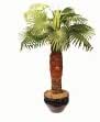 i-koncepts Limited 3ft Palm Tree : Amazon.co.uk: Home & Kitchen