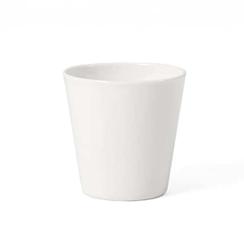 Top 10 Best Coffee Cup Without Handle : Reviews & Buying Guide - Katynel