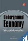 Buy Underground Economy: Issues and Approaches (Economy Series) Book ...