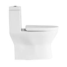 Cera Toilet One Piece Commode : Amazon.in: Health & Personal Care