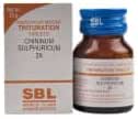 Amazon.com: SBL Chininum Sulphuricum Trituration Tablet 3X : Health ...