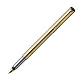 Parker Vector Gold Fountain Pen, Pack Of 2 : Amazon.in: Office Products