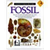 FOSSIL (DK Eyewitness Books): Taylor, Paul: 9780789464293: Amazon.com: Books