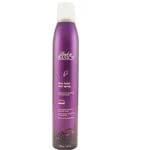 Amazon.com : BACK TO BASICS by Graham Webb: FIRM HOLD HAIR SPRAY 10 OZ ...