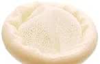 Amazon.co.jp: Finger Sack Pack of 144 : Health & Personal Care