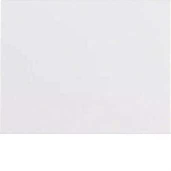 Hager K1 Key Unipolar for Switch Polar White : Amazon.ca: Tools & Home ...