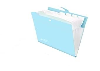 Expanding File Folder, Blue Cute Folder for Important Documents 8 ...