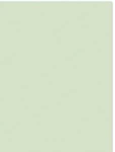 SISH Green Ledger Paper (100 Sheets, 80 GSM,A4 Size) -Green Sheets for ...