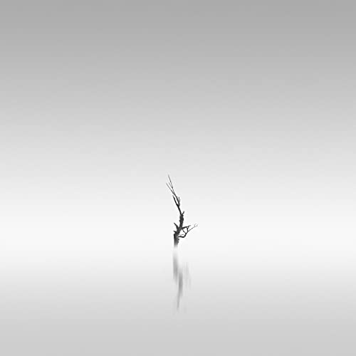 Play Process by Netherhall on Amazon Music
