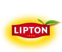 Amazon.com : Lipton Zero Sugar Iced Tea, Green Tea Mixed Berry, 16.9 fl ...