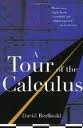A Tour of the Calculus: David Berlinski: 8581000033783: Amazon.com: Books