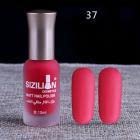 Amazon.com : 12ml Matte Dull Nail Polish Fast Dry Long Lasting Nail Art ...