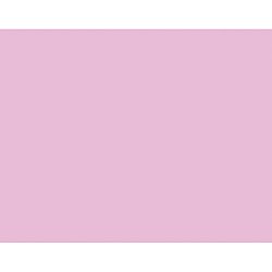 Light Pink Poster Board