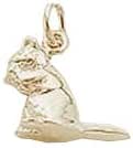Amazon.com: Rembrandt Charms Chipmunk Charm - 10K Yellow Gold: Clothing ...