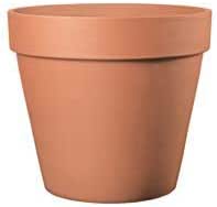 Amazon.com: Azalea Clay Pot : Patio, Lawn & Garden