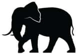 Amazon.com : Endangered Species, Extra Dark Chocolate Panther, 3 oz ...