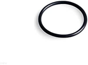 Amazon.com: Anchilly 11457 O-Ring for Sand Filter Pump Motor Inlet ...