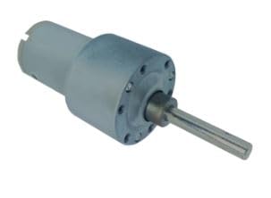 100 Rpm Johnson Geared DC Motor : Amazon.in: Home Improvement