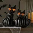 Amazon.com : Pre-Lit Pumpkin Cats, Set of 2 : Home & Kitchen
