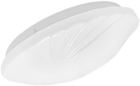 Westinghouse Lighting 81819 Corp 13-Inch Round Glass Diffuser - Close ...