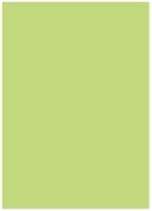 Amazon.co.jp: Hokuetsu Paper Office Paper Color R100 A4 Grin, 500 ...