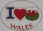 I Love Wales Welsh Dragon Flag Oval External Car Bumper Sticker Decal ...