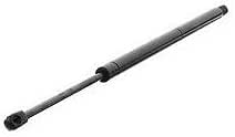 Amazon.com: OEM Genuine 01-10 Rear LIFTGATE Support Prop Shock STRUT ...