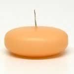 Amazon.com: Small Disk Floater Peach 29 pack : Everything Else