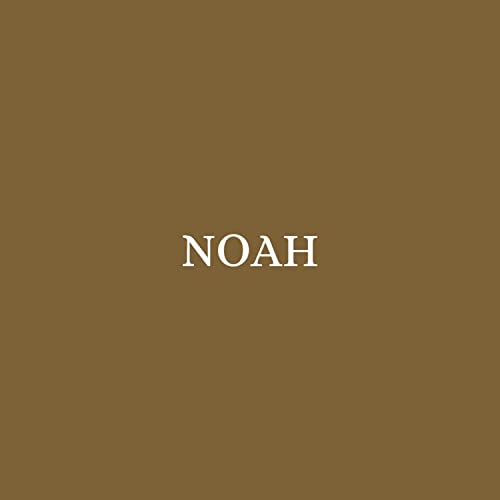 Play Noah by Aaron Amos on Amazon Music