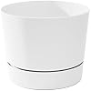 Amazon.com: Root & Vessel Majestic Mid-Century Modern Low Profile ...