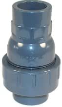 Amazon.com: Legend Valve Ball Check Valve T-655 PVC 1", 201-275 ...